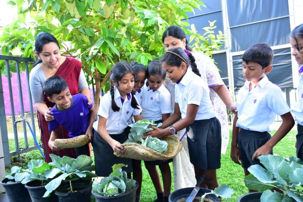 POLYMATH COLLEGE – Learn to live